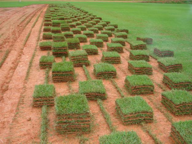 Quem Somos - Gramas RC